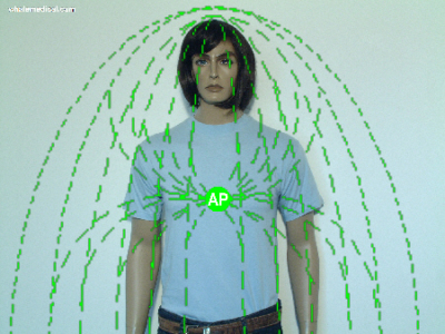 How to Locate and Realign Your Own Assemblage Point - Whale Medical