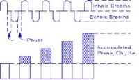 How to Shift the human Assemblage Point.