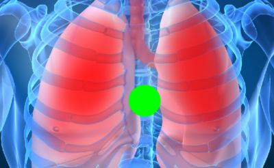 How to Locate and Realign Your Own Assemblage Point - Whale Medical